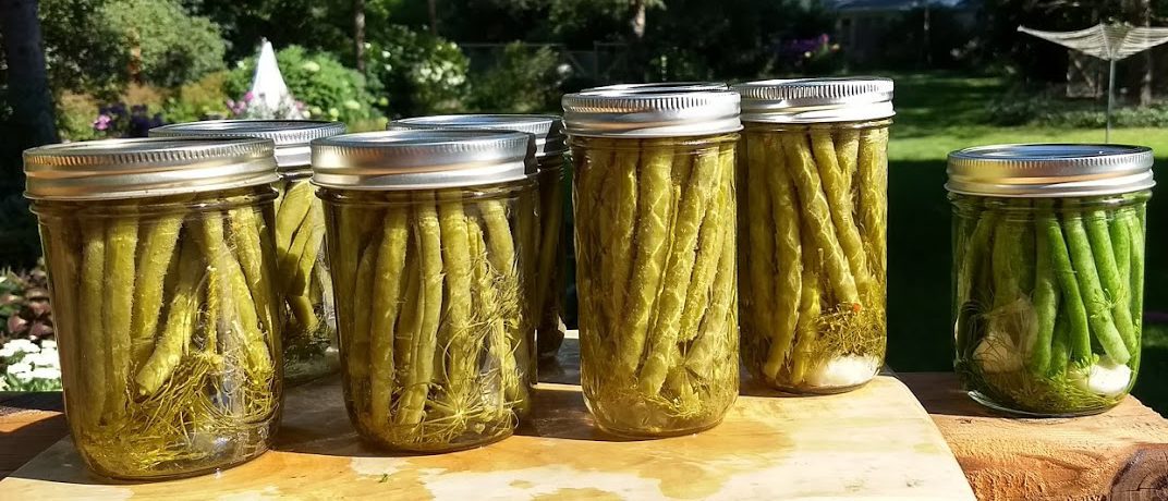 Crispy Crunchy Dilly Beans Recipe - Forks in the Dirt