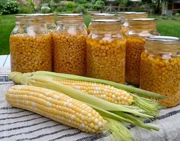 Preserving Sweet Corn 3 Ways - Forks in the Dirt